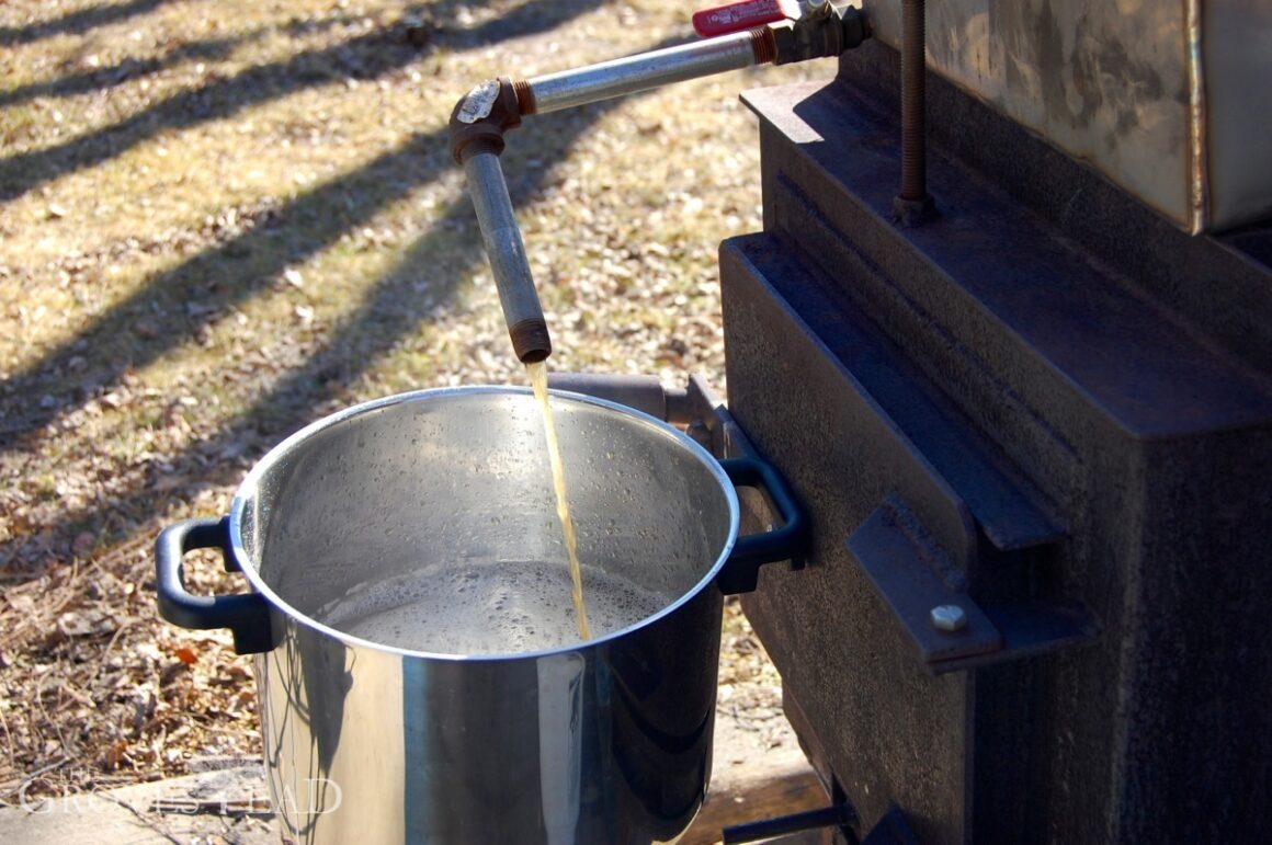 Evaporating sap and making maple syrup – The Grovestead