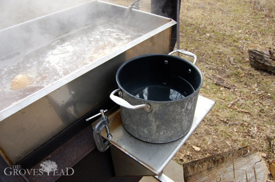 Evaporating sap and making maple syrup – The Grovestead
